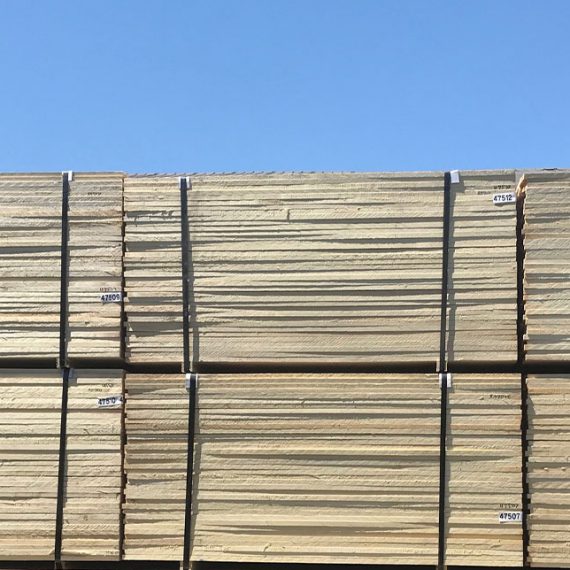 ASPEN TREMBLE (Álamo temblón) - Ferraro Wood Specialist