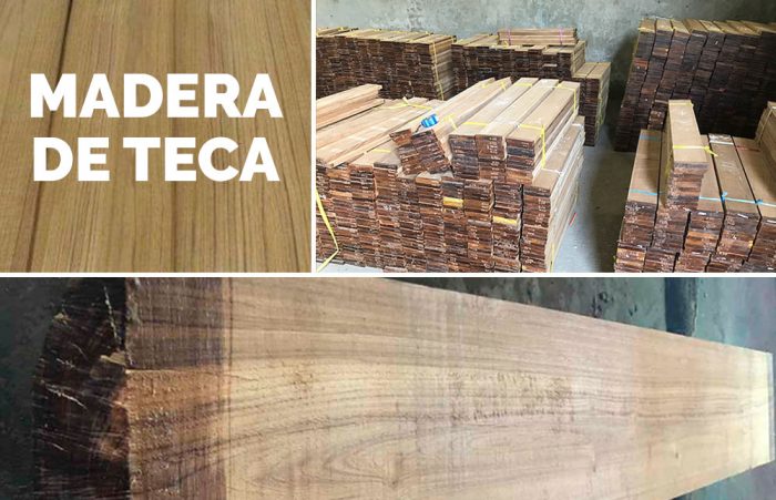 MADERA DE TECA - Ferraro Wood Specialist