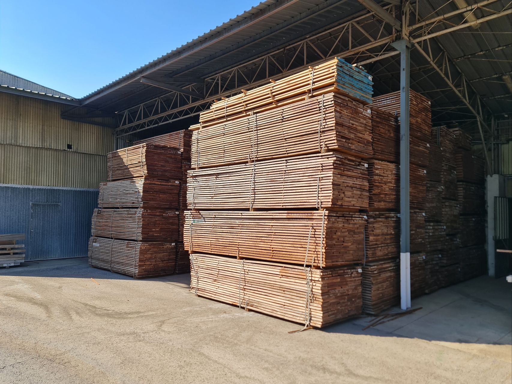 SAPELE FAS KD - Ferraro Wood Specialist